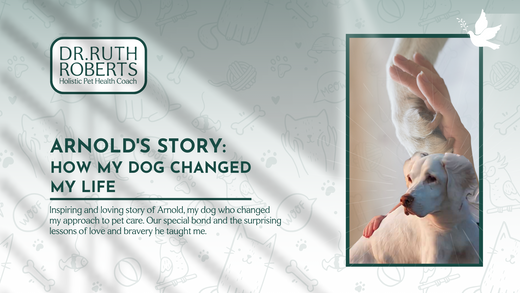 How My Special Dog Changed My Life