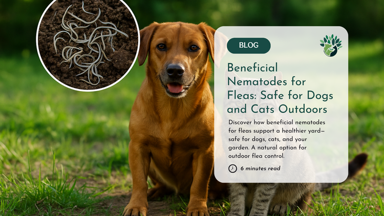 Beneficial Nematodes for Fleas: Safe for Dogs and Cats Outdoors