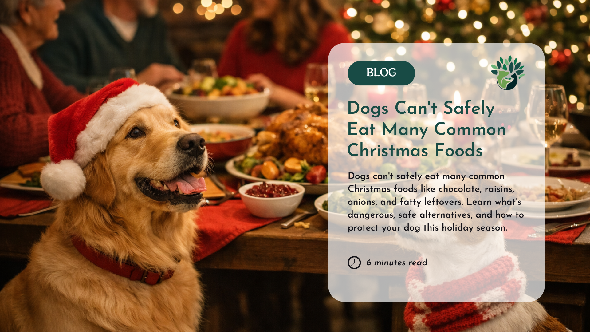 Dogs Can't Safely Eat Many Common Christmas Foods | Holiday Pet Safety ...