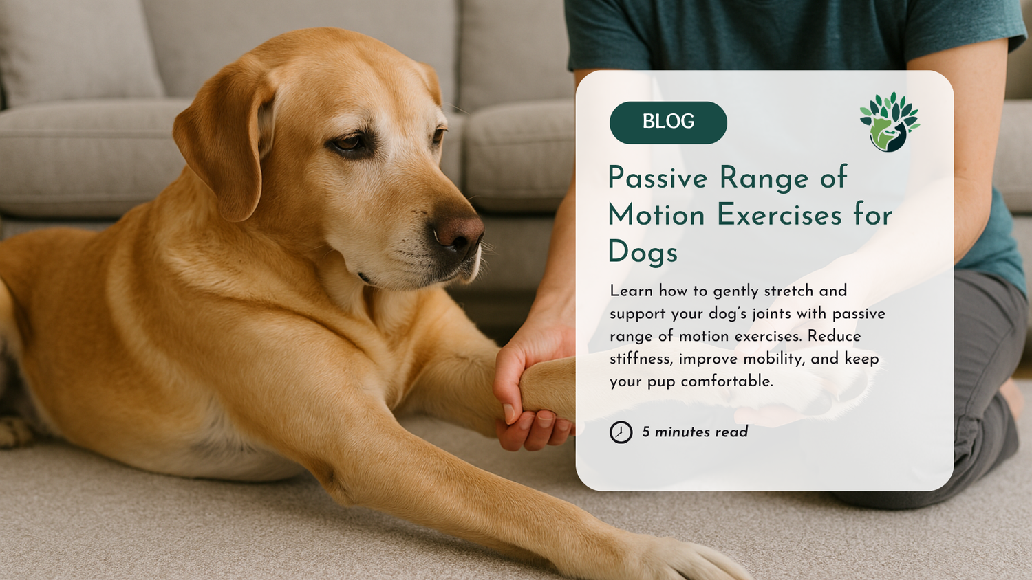 Passive Range of Motion Exercises for Dogs