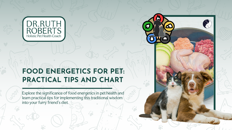 Pet Nutrition: Using Food Energetics for Better Health