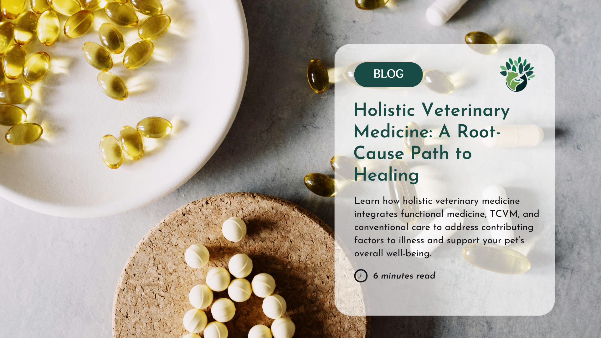 Holistic Veterinary Medicine: A Root-Cause Path to Healing