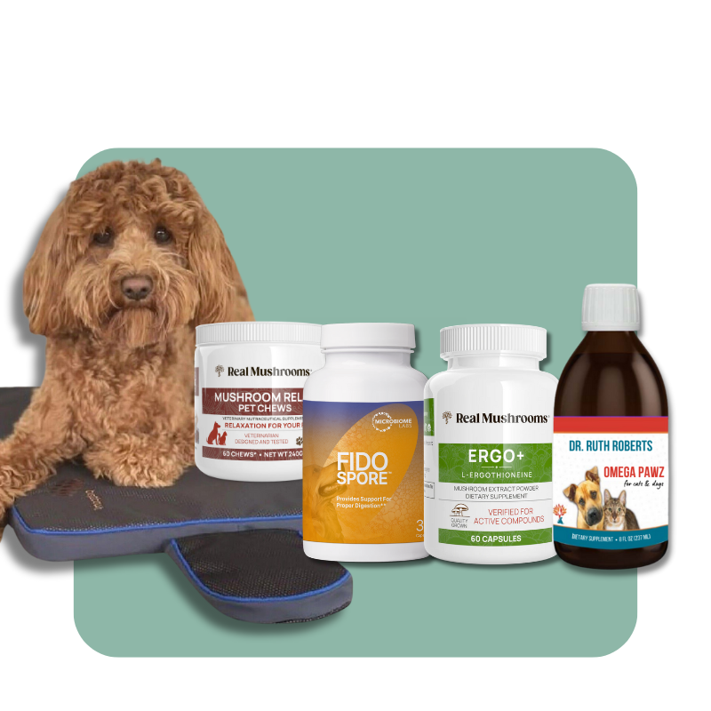 Dog and Cat Anxiety Support - Anxiety Relief for Pets - Dr. Ruth