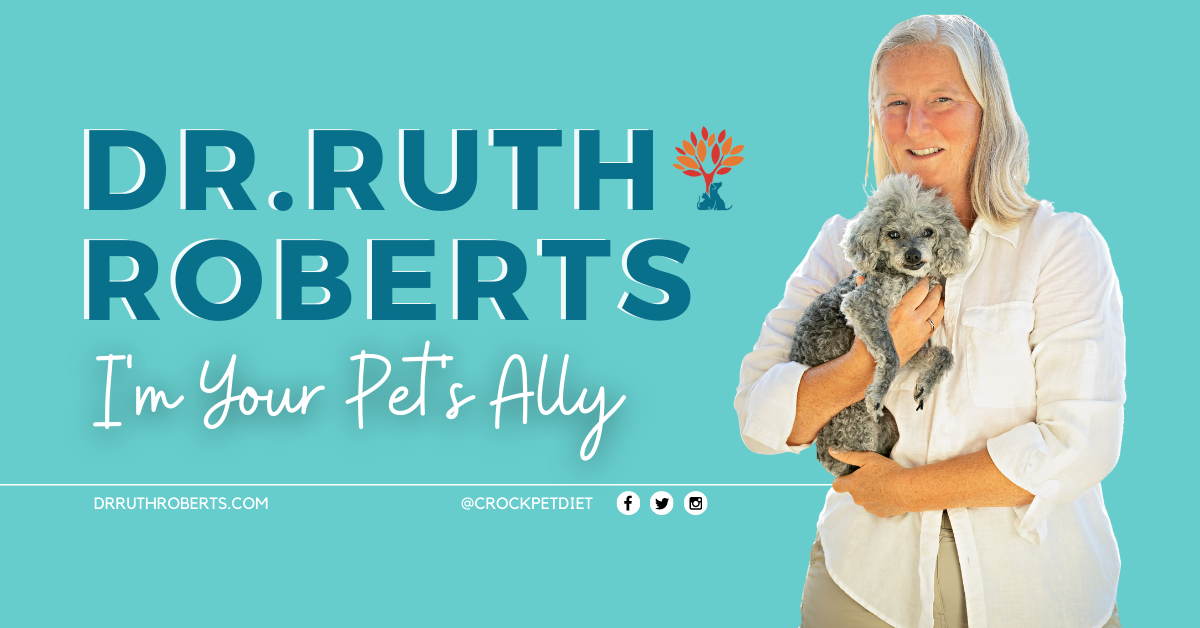 Natural supplements for dogs and cats & Holistic veterinary care | Dr ...