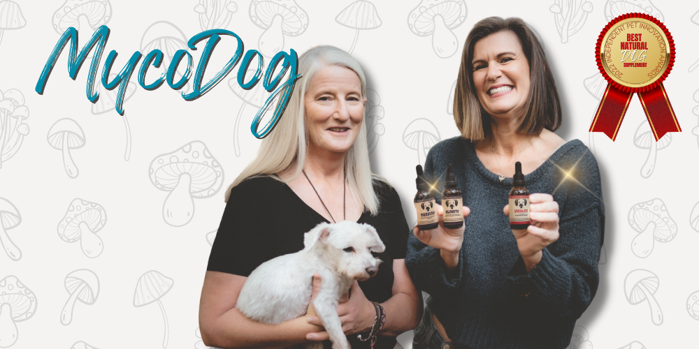 MycoDog - Mushroom extracts for dogs
